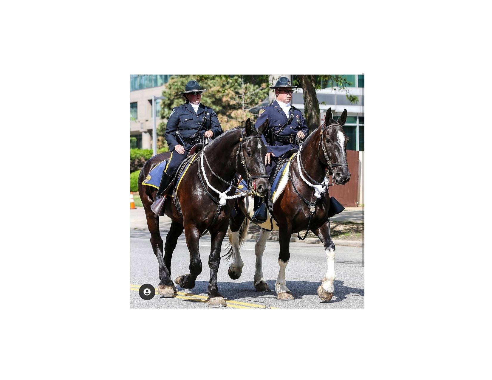 The Pride of the Cleveland Police Mounted Unit - The Cleveland Police ...
