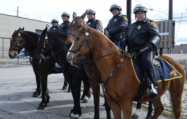A Century of Service: The Resilient Journey of Cleveland's Mounted ...